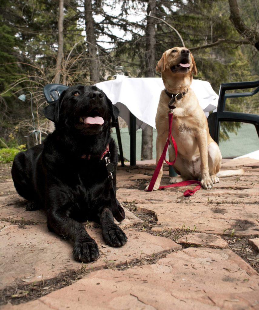 Log Haven Restaurant - Millcreek Canyon, Salt Lake City, UT
